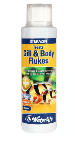 Waterlife Sterazin - Gill & Body Flukes 100ml
